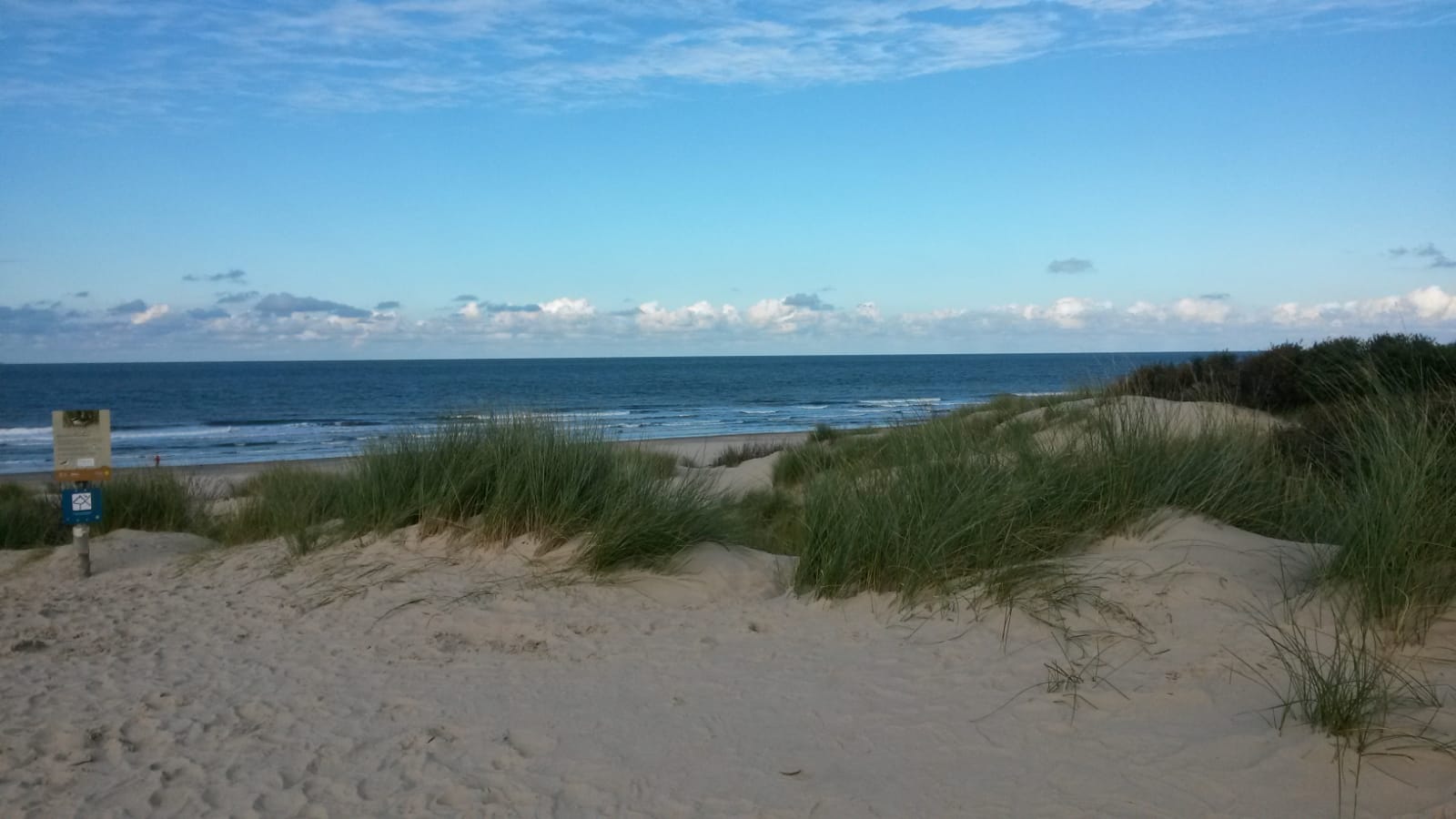 Termine - LOB - Lösungsorientierte Beratung Andrea Oppermann